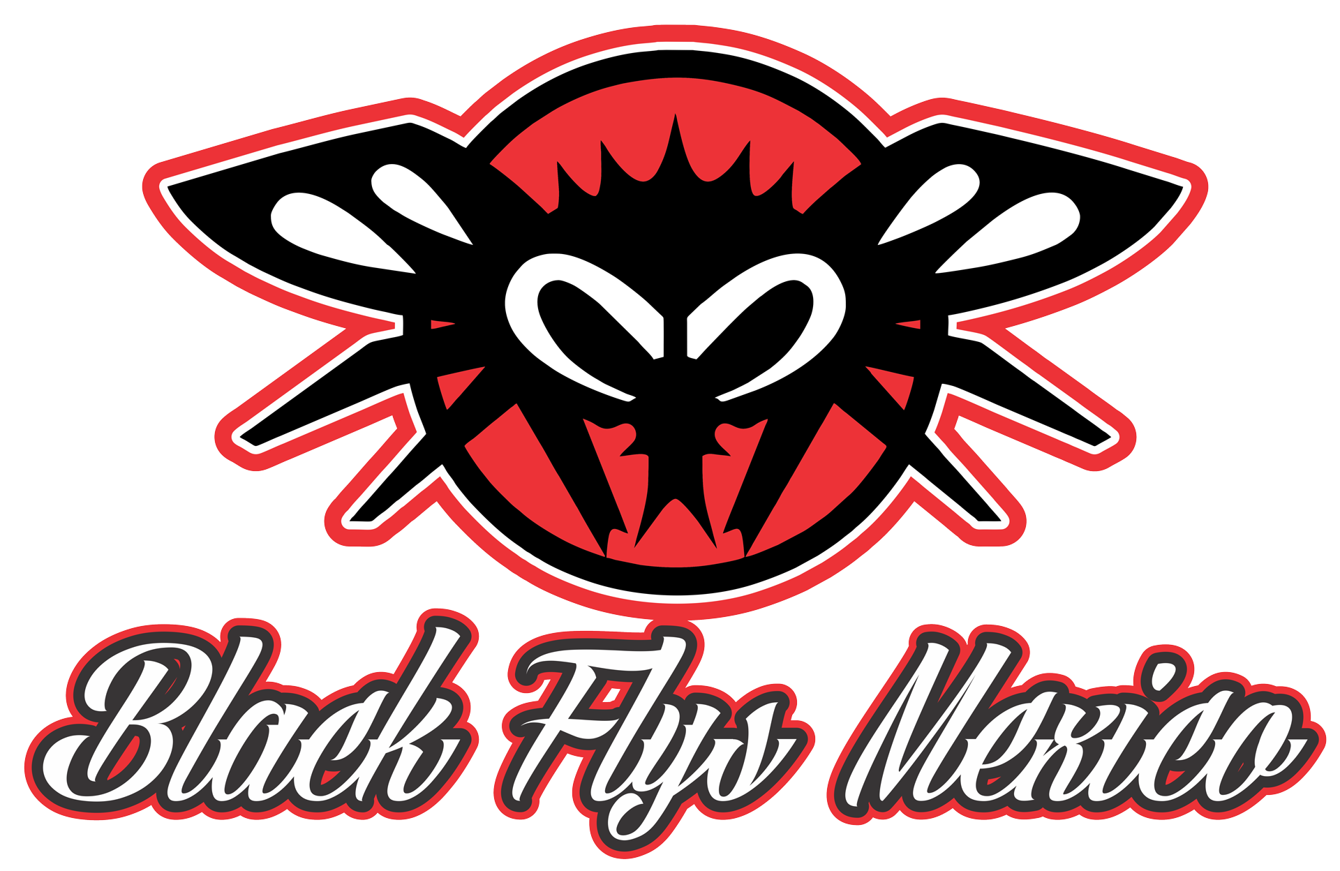 ¿Quiénes somos? – Black Flys México